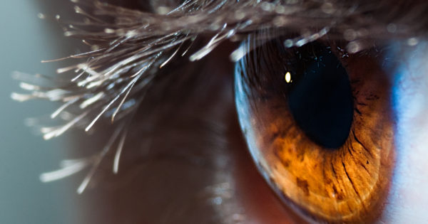 CRSToday | Dehydrated Amniotic Membrane for Ocular Surface Disease